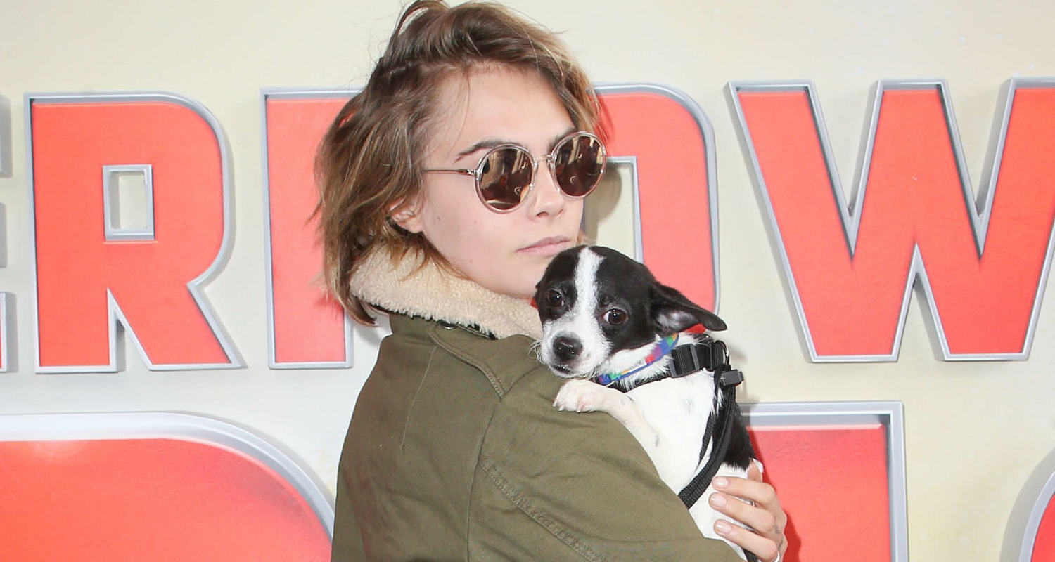 Cara Delevingne Cozies Up to Her Dog at ‘Superpower Dogs’ Premiere ...