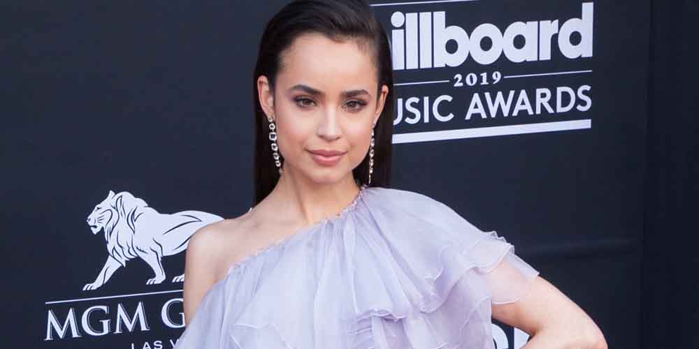 Sofia Carson Reveals New Music From Her Is Coming Sooner Than We Think ...