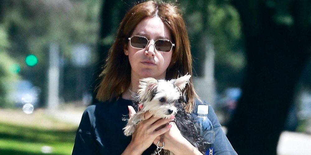 Ashley Tisdale’s New Pup Ziggy Has Her Own Instagram Account! | Ashley ...
