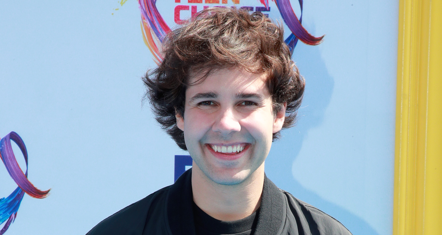 David Dobrik Met His ‘Favorite Person In The World’ Robert Downey Jr at ...