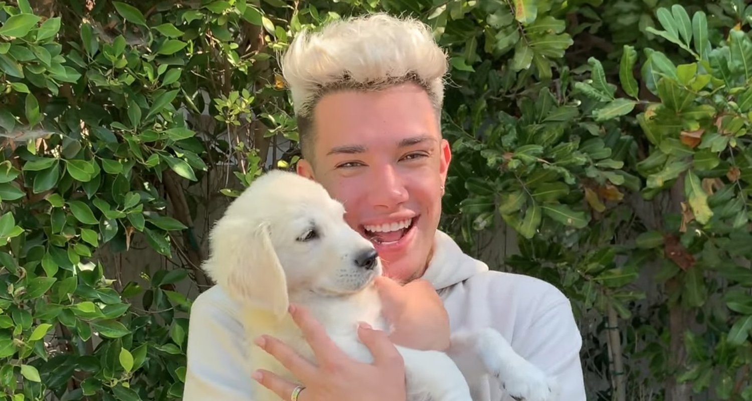 James Charles Adopts Adorable New Puppy! | Celebrity Pets, James ...
