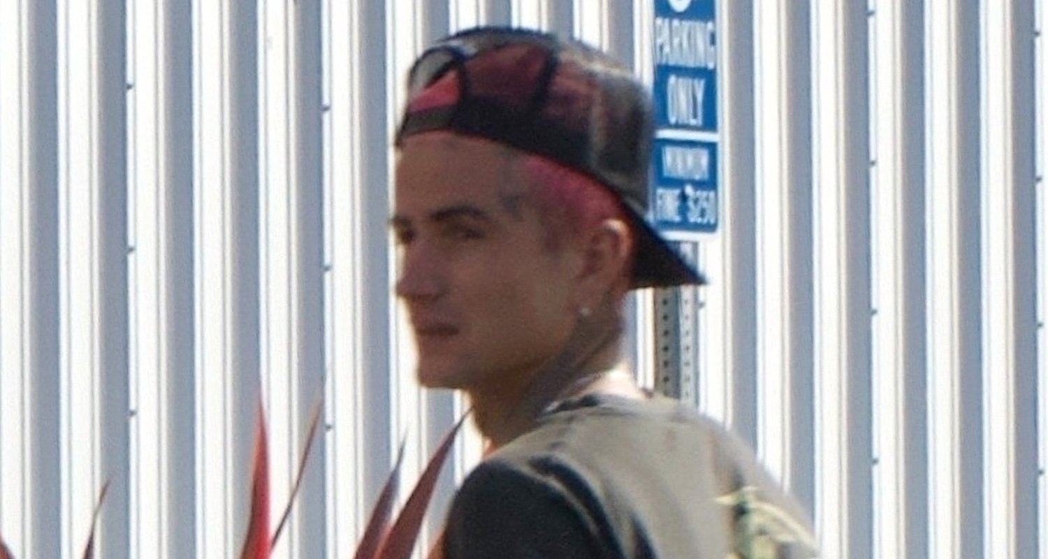 Learn More About Demi Lovato’s Boyfriend Austin Wilson! | Austin Wilson ...