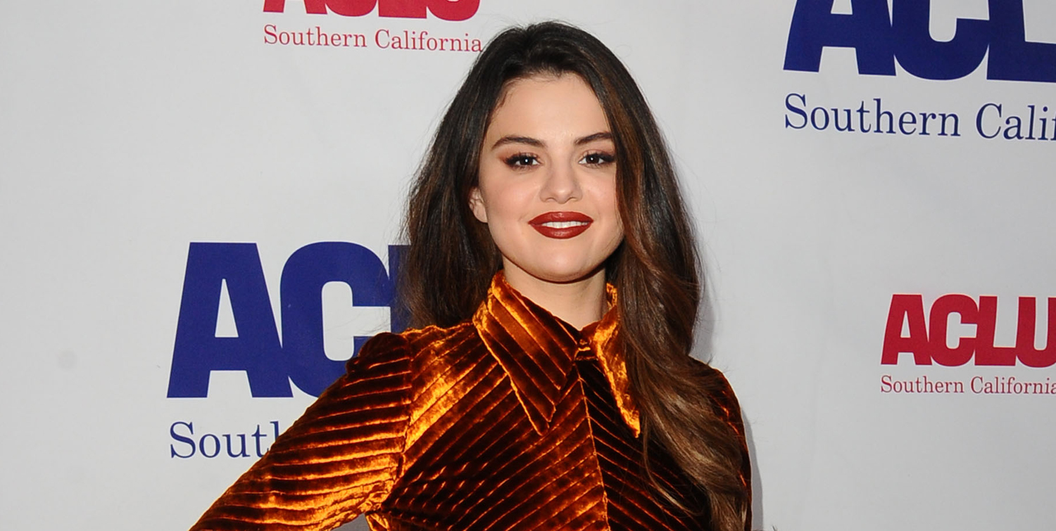 Selena Gomez Looks So Pretty in Velvet Dress at Bill of Rights Dinner ...