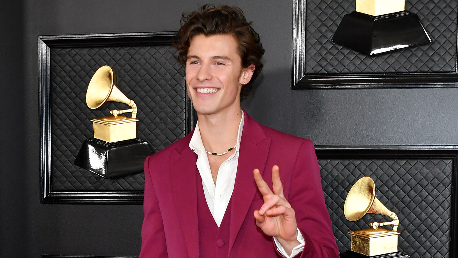 Shawn Mendes Brings the Peace to Grammys 2020 | 2020 Grammys, Grammys ...