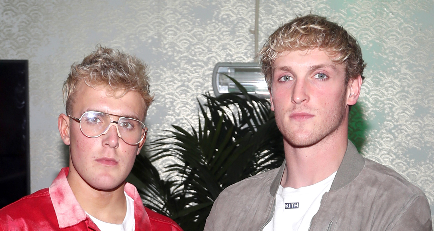 Logan Paul Shares How Younger Brother Jake Paul Is Doing After FBI Raid ...