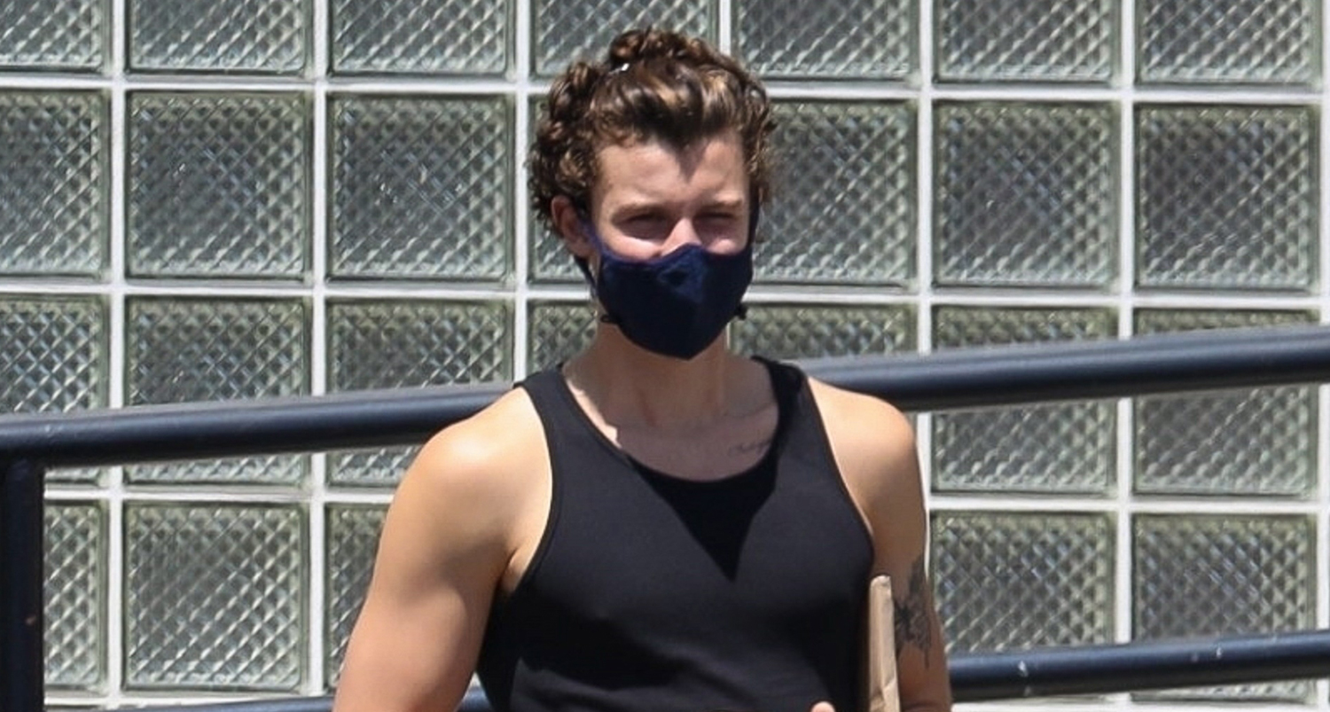 Shawn Mendes Heads Home After a Day at the Studio | Shawn Mendes | Just ...