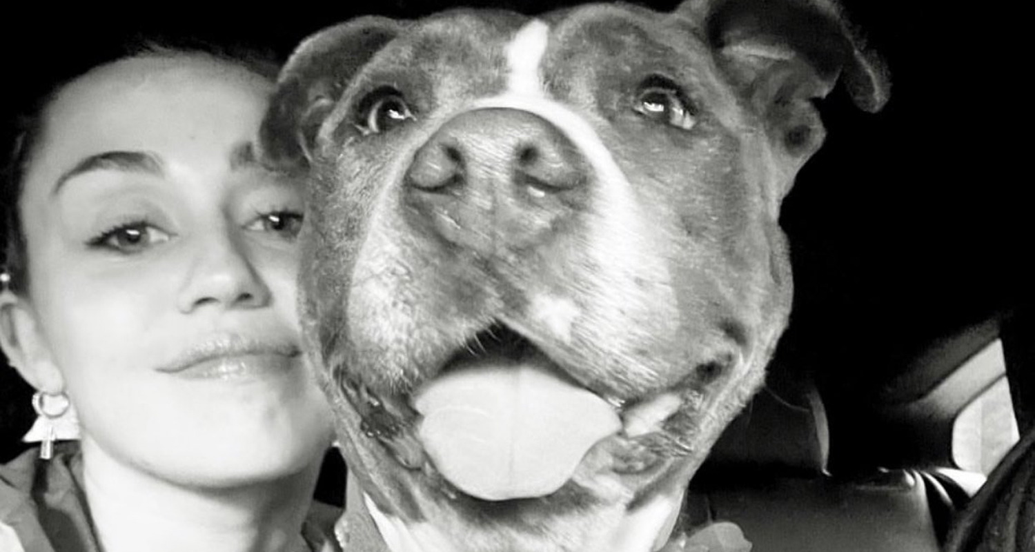 Miley Cyrus Introduces Fans To Her Newly Adopted Dog Angel! - Just ...