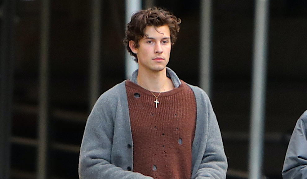 Shawn Mendes & Camila Cabello Made Their Dog Tarzan an Instagram, Plus ...