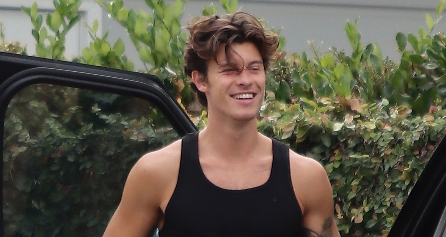 Shawn Mendes is All Smiles While Meeting Up with a Friend in Hollywood ...
