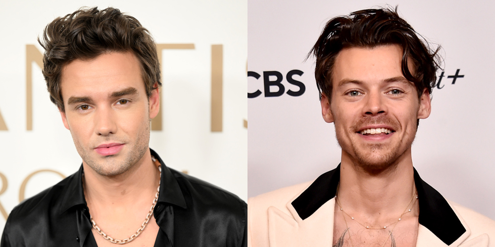 Liam Payne Sends His Congrats to 1D Bandmate Harry Styles After Grammy ...